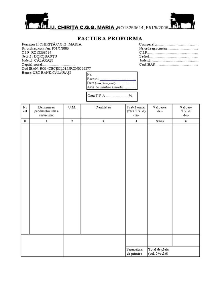 Factura Proforma MODEL | PDF
