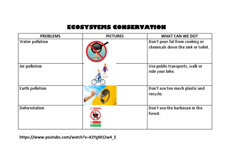 Ecosystems Conservation: Problems Pictures What Can We Do? | PDF