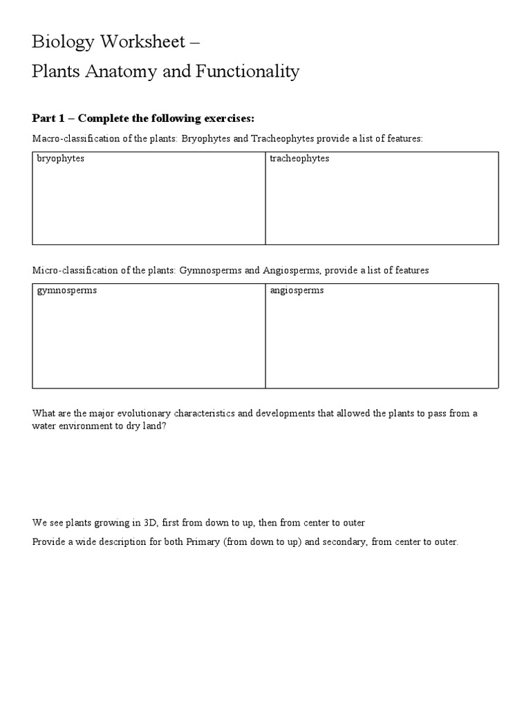 Biology Worksheet X - Plants Anatomy and Functionality | PDF | Leaf ...