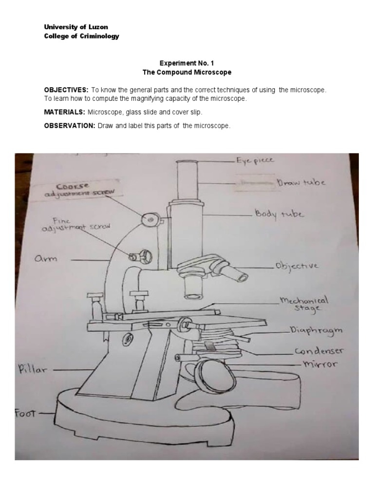 Compound Microscope Practical Guide | PDF | Glass Engineering And ...