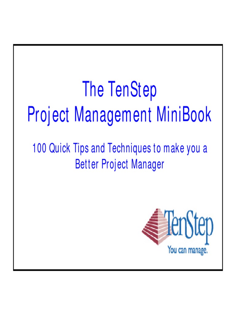 Project Management Mini Book | PDF