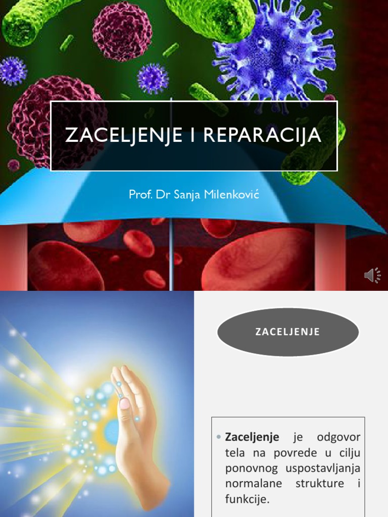 Predavanje REGENERACIJA I REPARACIJA | PDF