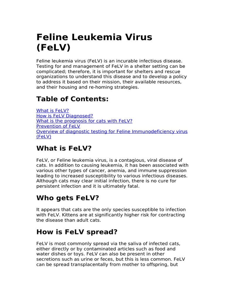 Understanding Feline Leukemia Virus (FeLV) | PDF | Infection | Cats