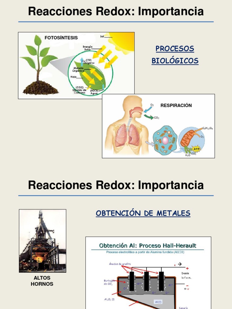 Tema 14 Definitivo. Reacciones Redox | PDF | Redox | Electroquímica