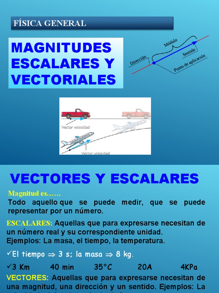 Escalares y Vectores | PDF | Vector Euclidiano | Geometría