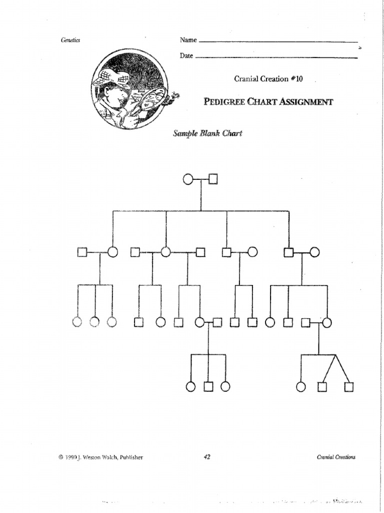 Pedigree Chart Assignment | PDF
