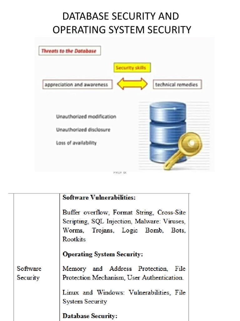 Database Security and Operating System Security: Prof SK | PDF ...