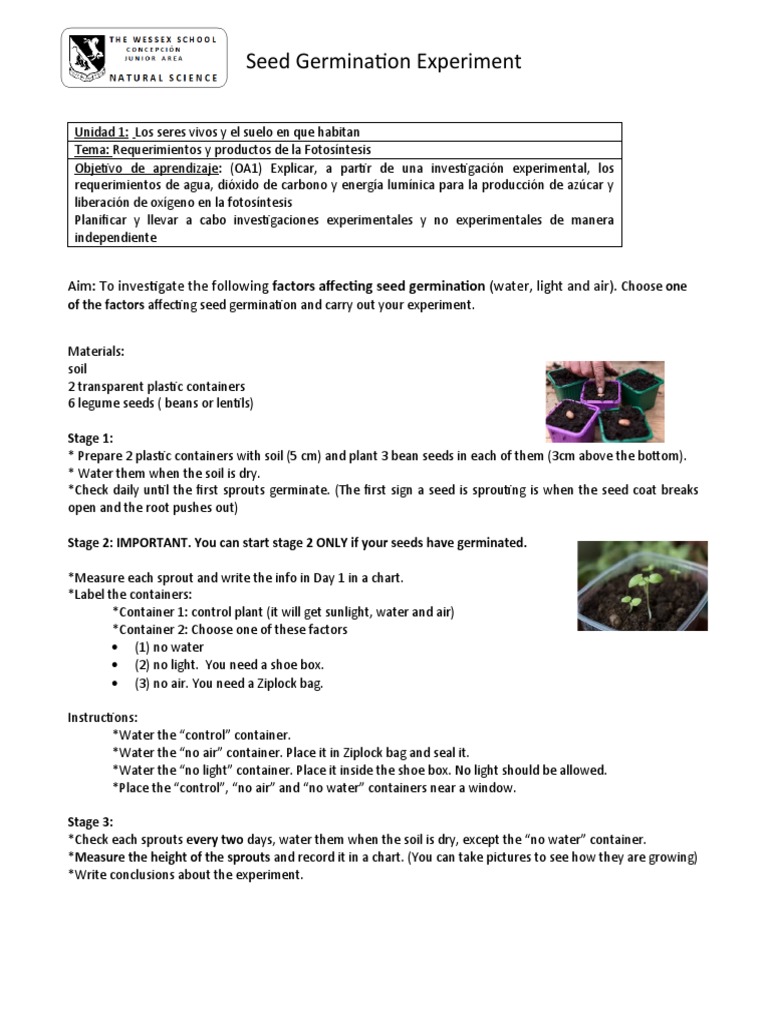 Seed Germination Experiment: Aim: To Investigate The Following Factors ...