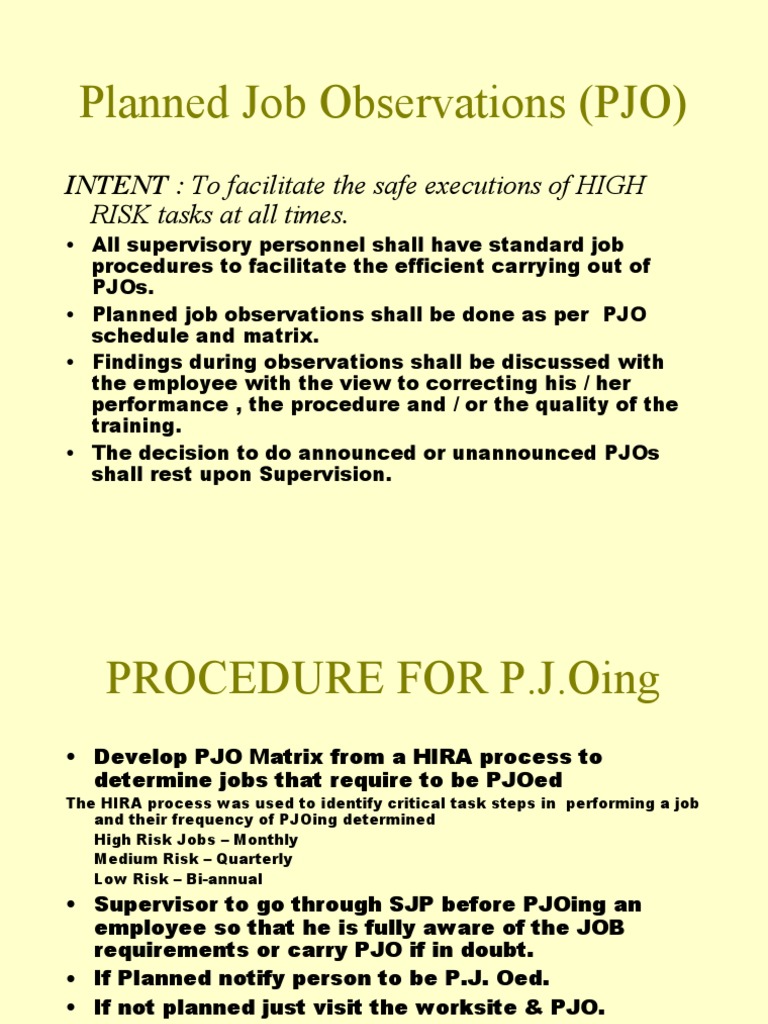 Planned Job Observations (PJO) Guide | PDF | Risk | Business