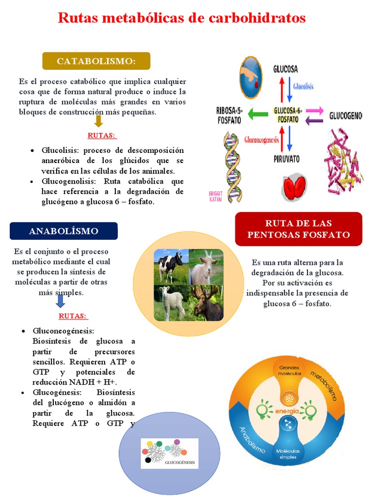 Johan Vega - Infografía | PDF
