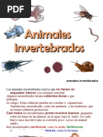 Infografía Artropodos | PDF | Western Honey Bee | Insectos