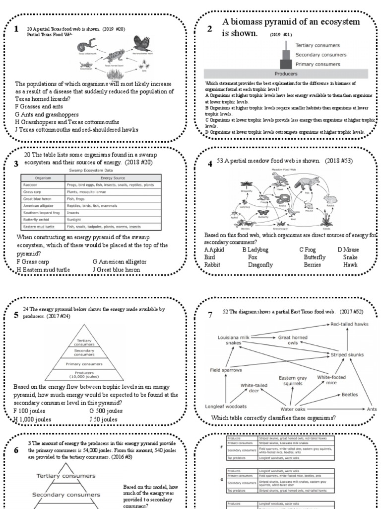 Texas Ecosystem Food Web Analysis | PDF | Food Web | Fungus