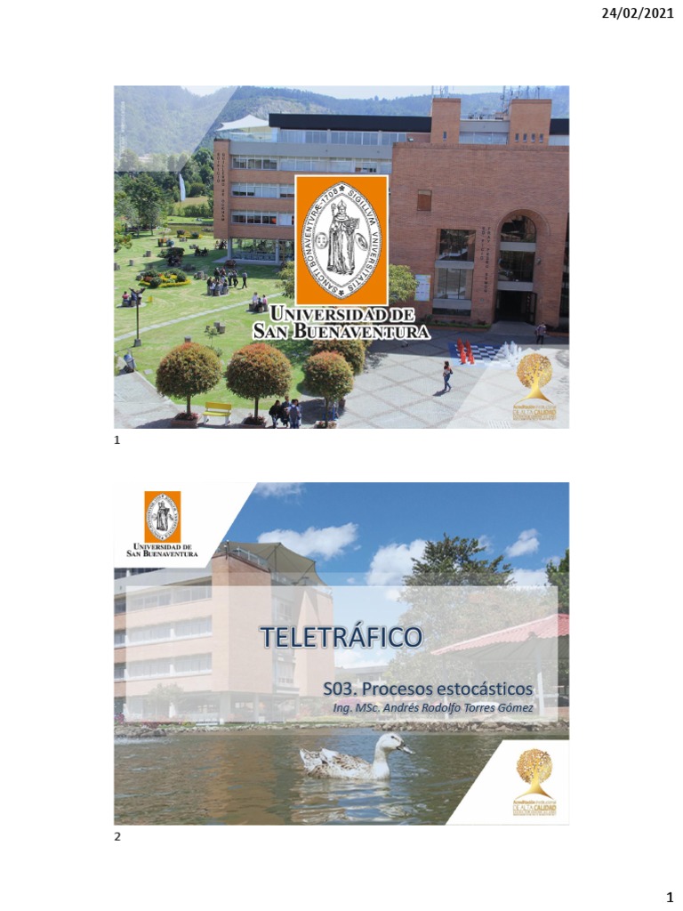 Procesos Estocásticos en Estadística | PDF | Aleatoriedad | Estocástico