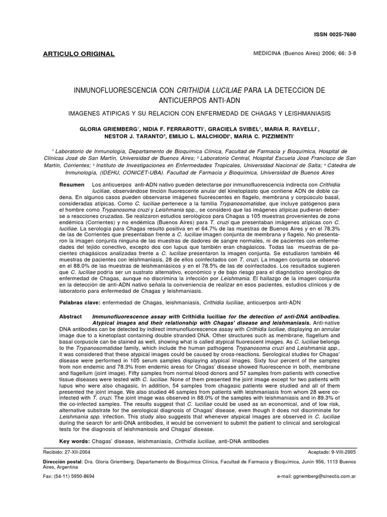 Inmunofluorescencia Con Crithidia Luciliae para La Deteccion | PDF ...