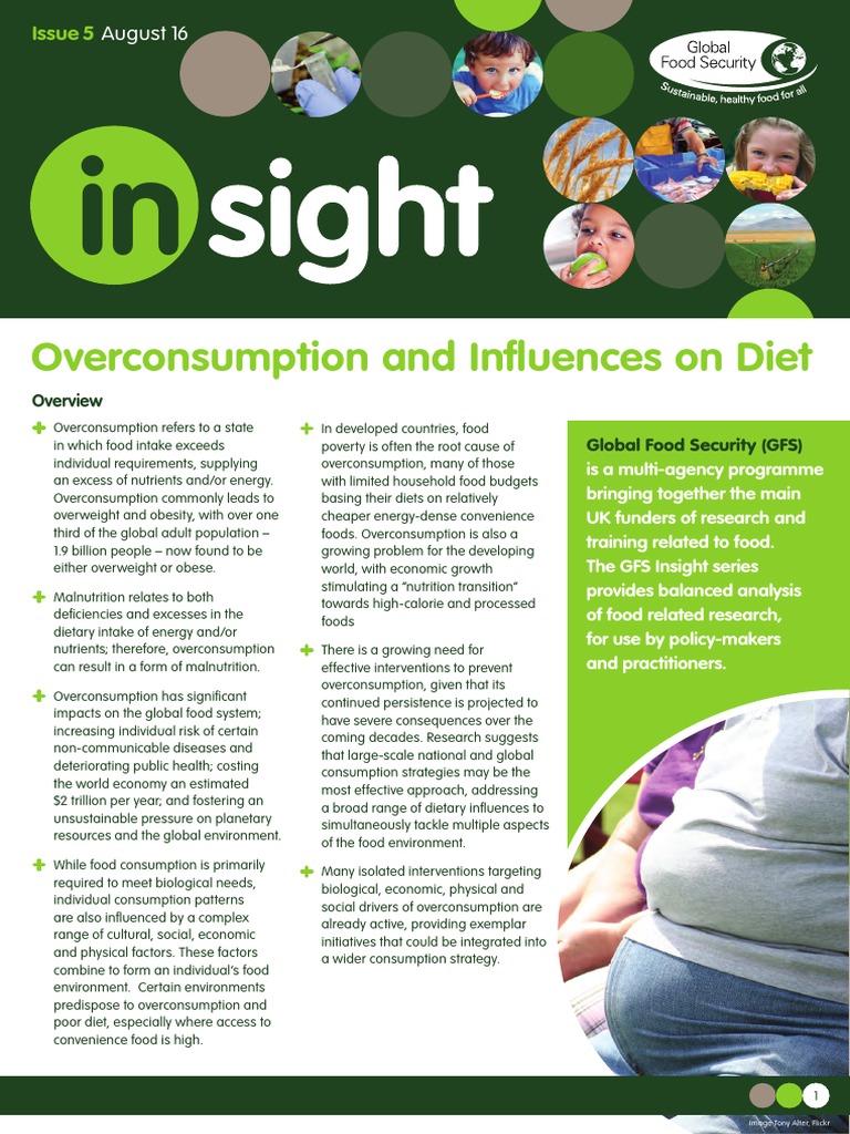 Overconsumption and Influences On Diet: Global Food Security (GFS ...