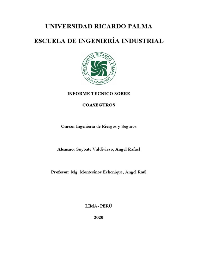 Informe Tecnico | PDF | Póliza de seguros | Reaseguro