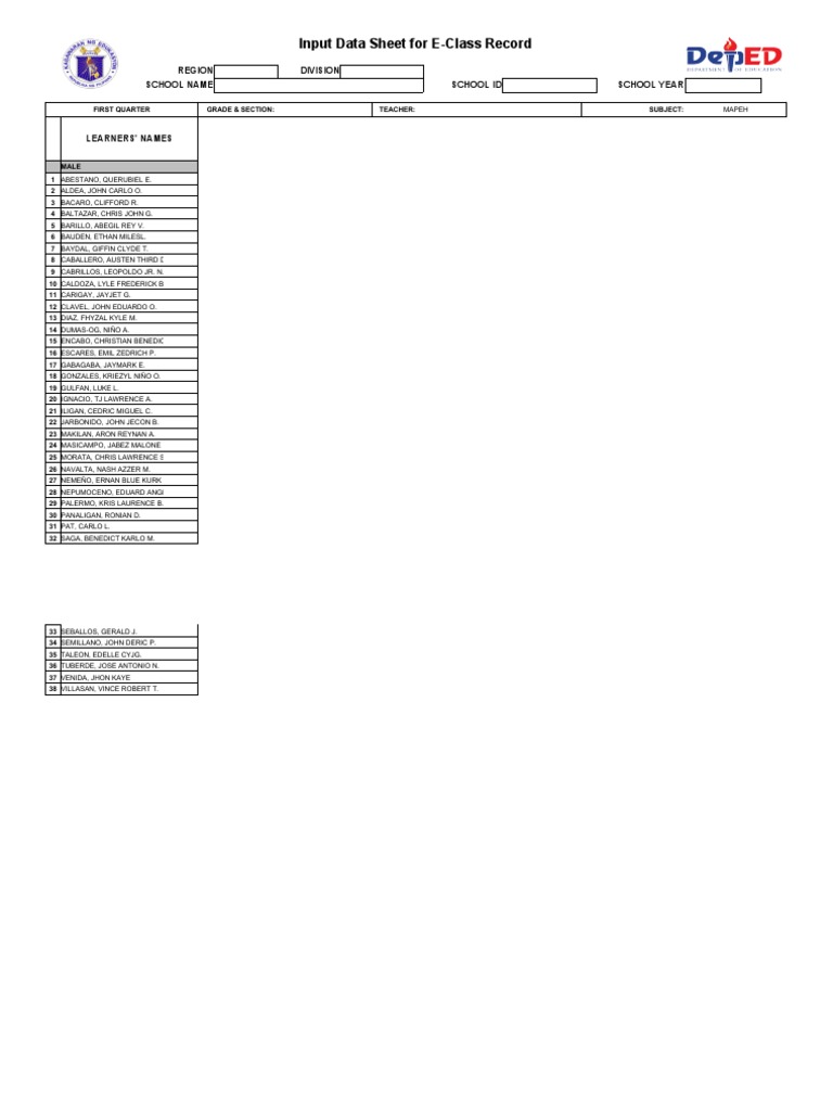 Input Data Sheet For E-Class Record: Region Division School Name School Id School Year | PDF