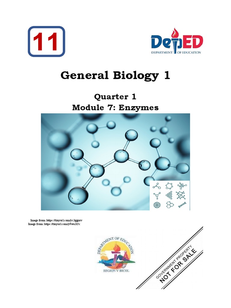 General Biology 1 Module 7 Q1 | Download Free PDF | Active Site | Enzyme
