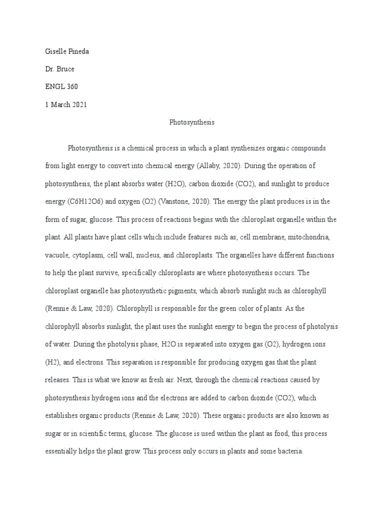 360 Photosynthesis Paper 2 | PDF | Photosynthesis | Chloroplast