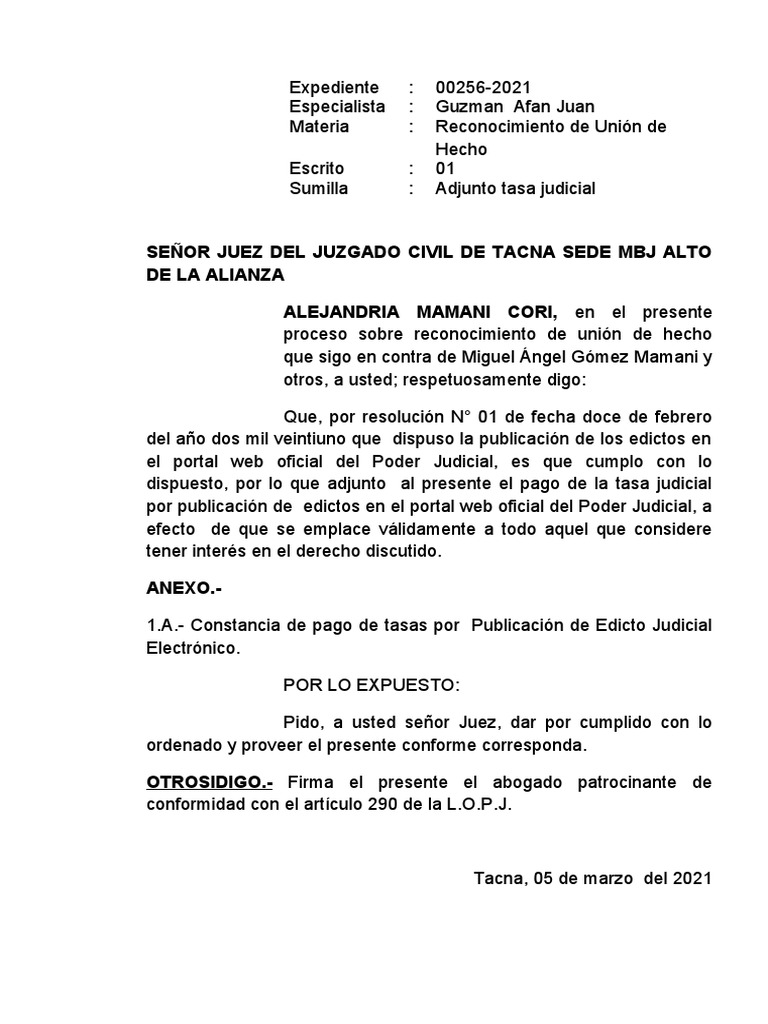 Adjunto Tasa Judicial | PDF