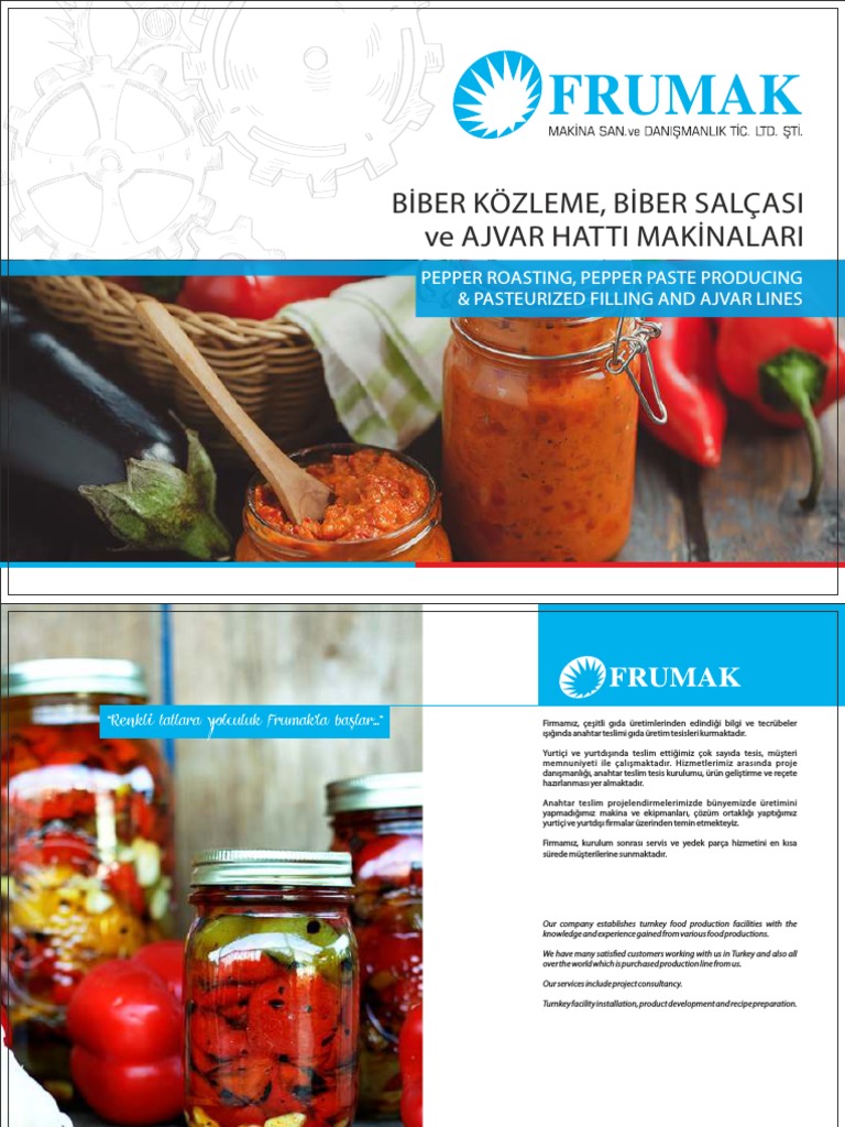 Frumak Biber Kozleme Ajvar Hatti | PDF