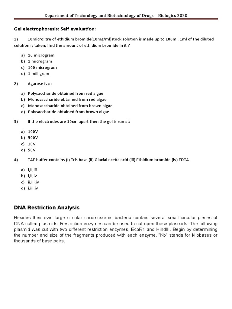 Gel Electrophoresis Self-Evaluation | PDF | Restriction Enzyme | Gel ...