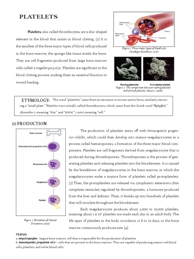 Platelets | PDF | Platelet | Blood Cell