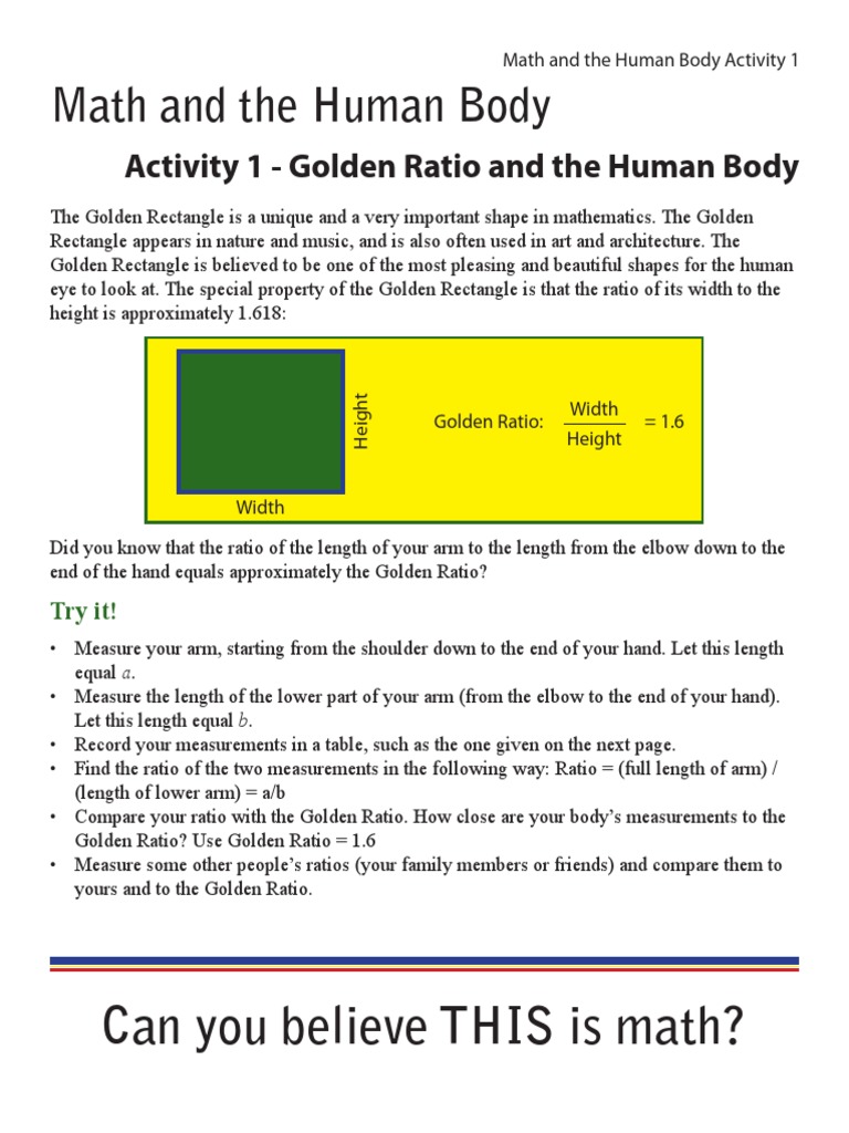 16-1 Golden Ratio and The Human Body | PDF | Ratio | Length