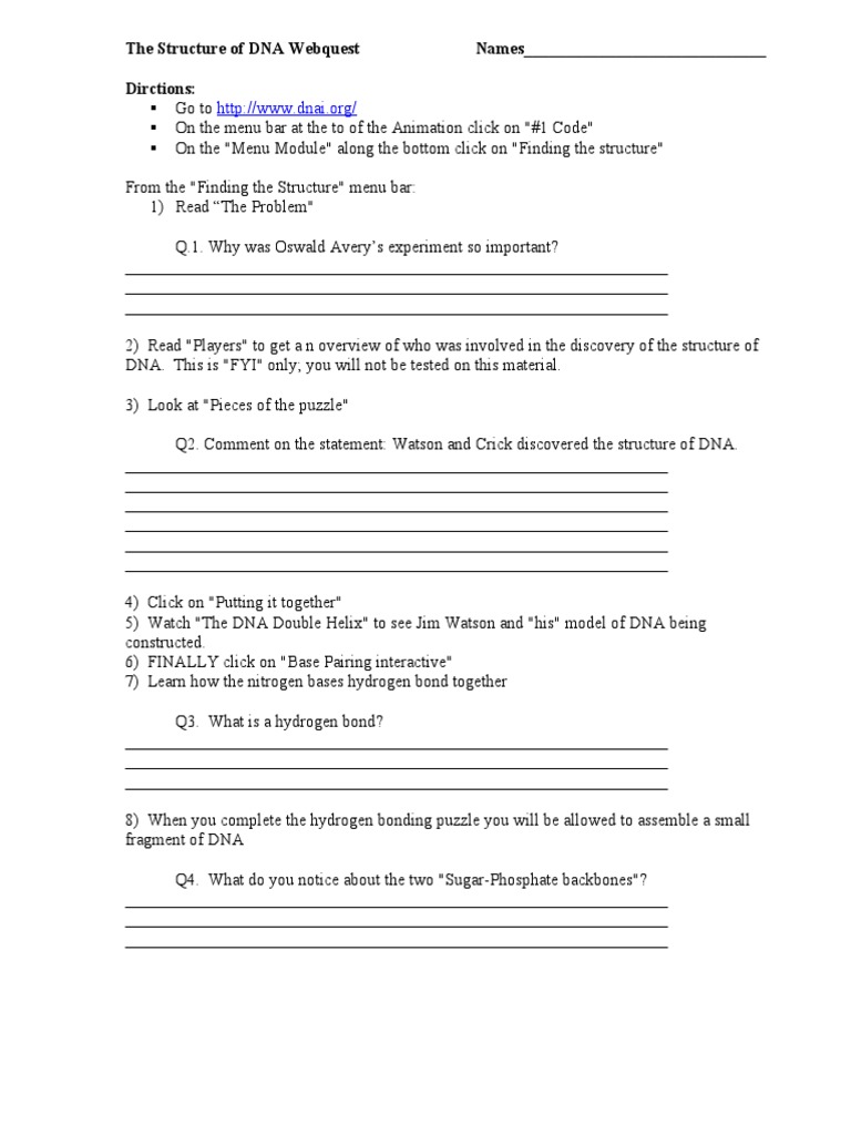 The Structure of DNA Webquest | PDF