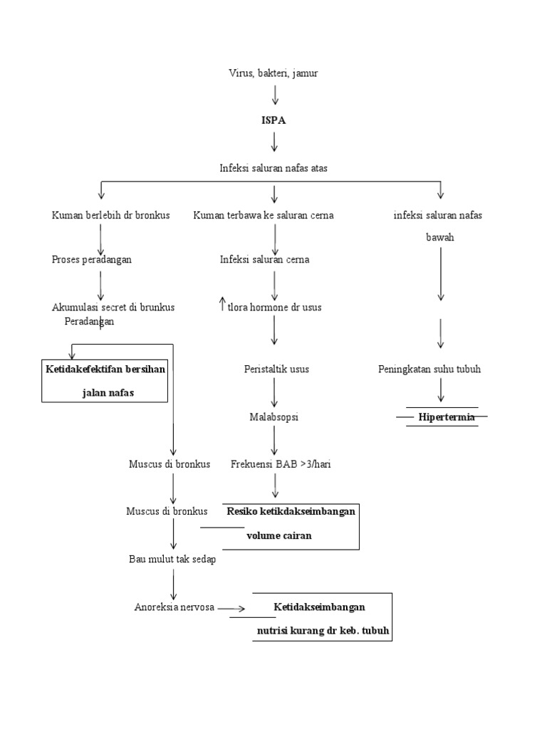 Pathway Ispa | PDF | Kesehatan Holistik