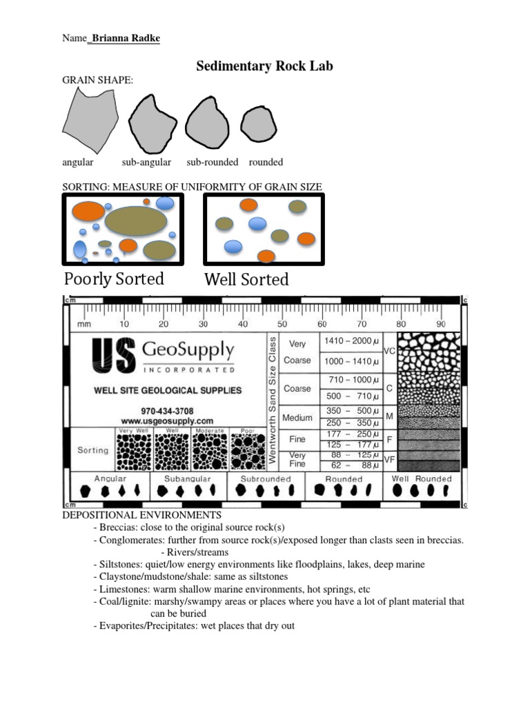 Sedimentary Rock Lab Overview | PDF | Sedimentary Rock | Clastic Rock