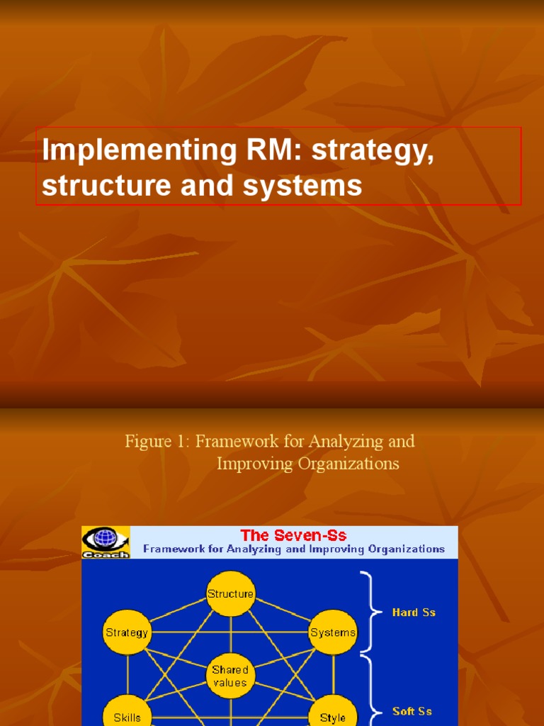 Implementing RM: Strategy, Structure and Systems | PDF | Strategic ...