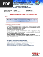 Ficha EF Modificada | PDF