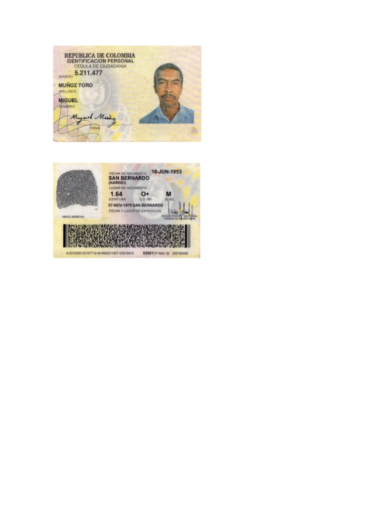 Cedula Don Miguel | PDF