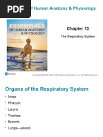 Reproductive System Chapter 16 Key Answer | PDF