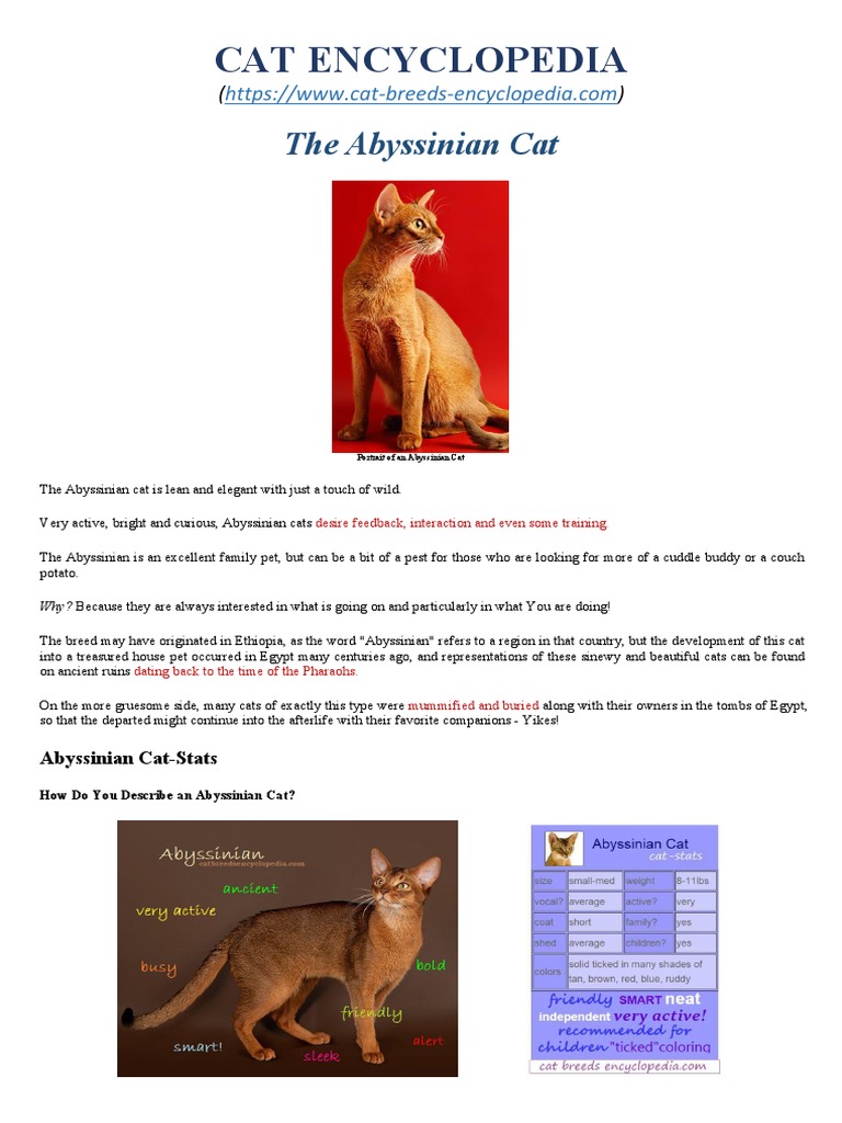 Cat Encyclopedia - Internet | PDF | Cats | Animal Breeds