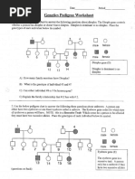 Answer Key - Genetic Packet | PDF | Dominance (Genetics) | Genotype