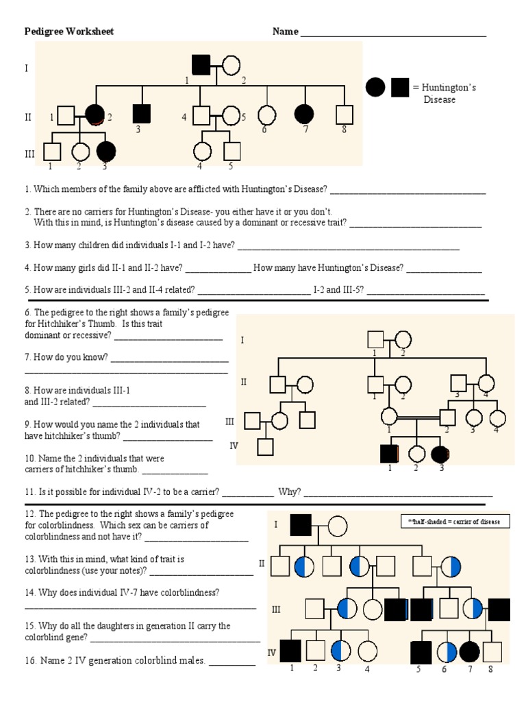 Huntington's Disease Pedigree Worksheet | PDF | Zygosity | Dominance ...