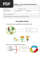 Ciclo de Vida de Animales y Plantas | PDF | Hogar, jardinería y ...
