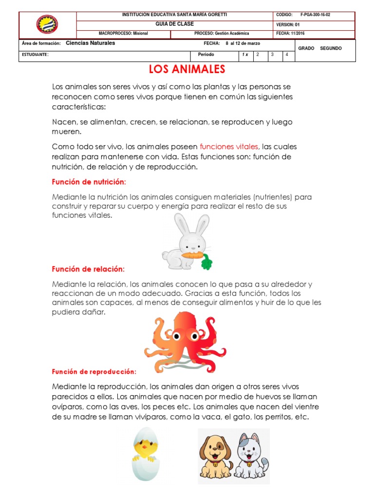 Funciones Vitales de los Animales | PDF | Vida | Nutrición