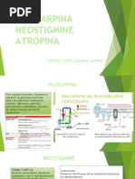 Códigos FONASA 2022 | PDF | Medicina de rehabilitación | Terapia