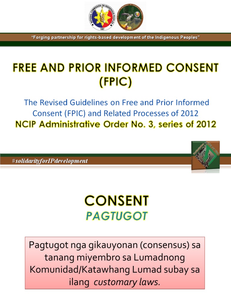 FPIC Slides | PDF | Justice | Crime & Violence