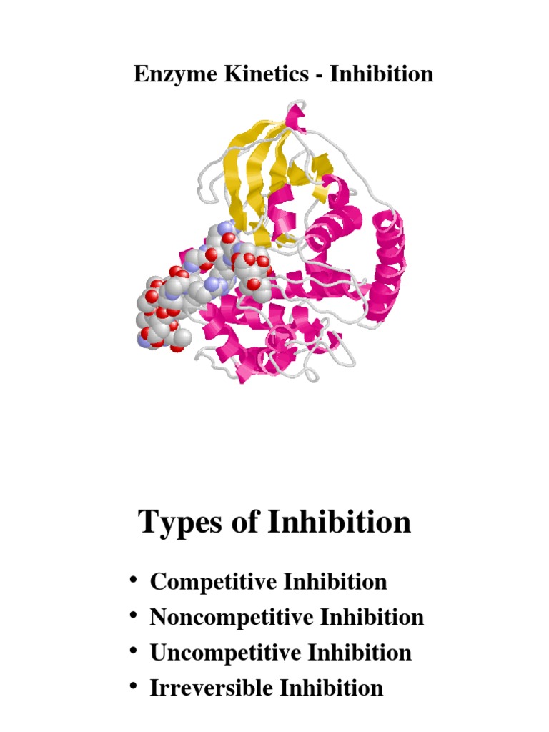 5 Enzyme Kinetics-Inhibition | PDF | Enzyme Inhibitor | Enzyme Kinetics