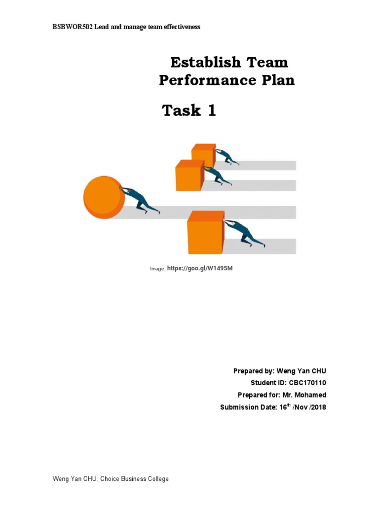 Task 1: Establish Team Performance Plan | PDF | Brand | E Commerce