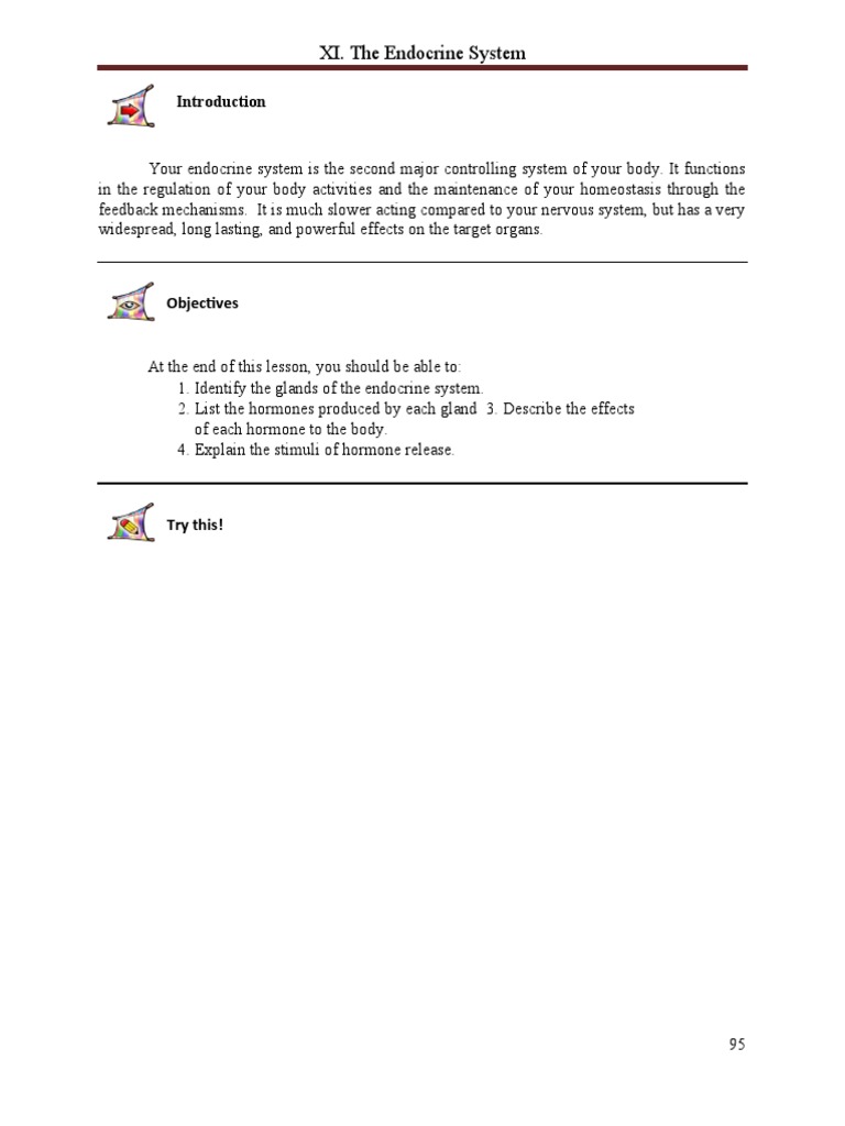 Module Endocrine System | PDF | Endocrine System | Hormone