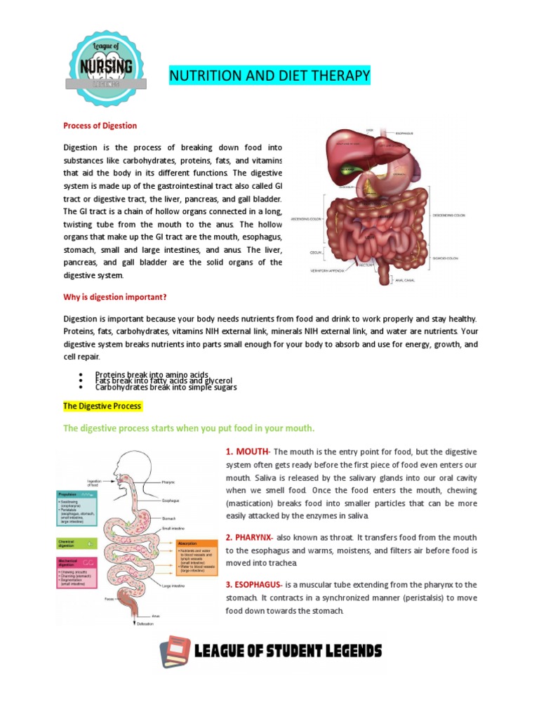 Nutrition and Diet Therapy: Process of Digestion | PDF | Human ...