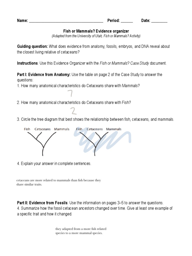 Fish or Mammal Questions | PDF | Cetacea | Mammals