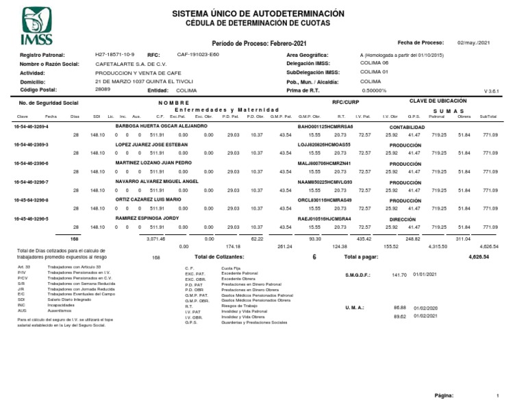 Ejemplo de Cédula Del SUA (IMSS) | PDF | Economias | Business