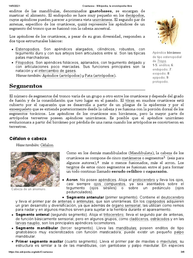 Cefalon | PDF | Crustáceo | Protostomas