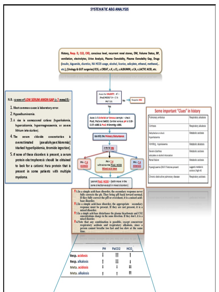 ABG Algorithm | PDF | Human Diseases And Disorders | Intensive Care ...